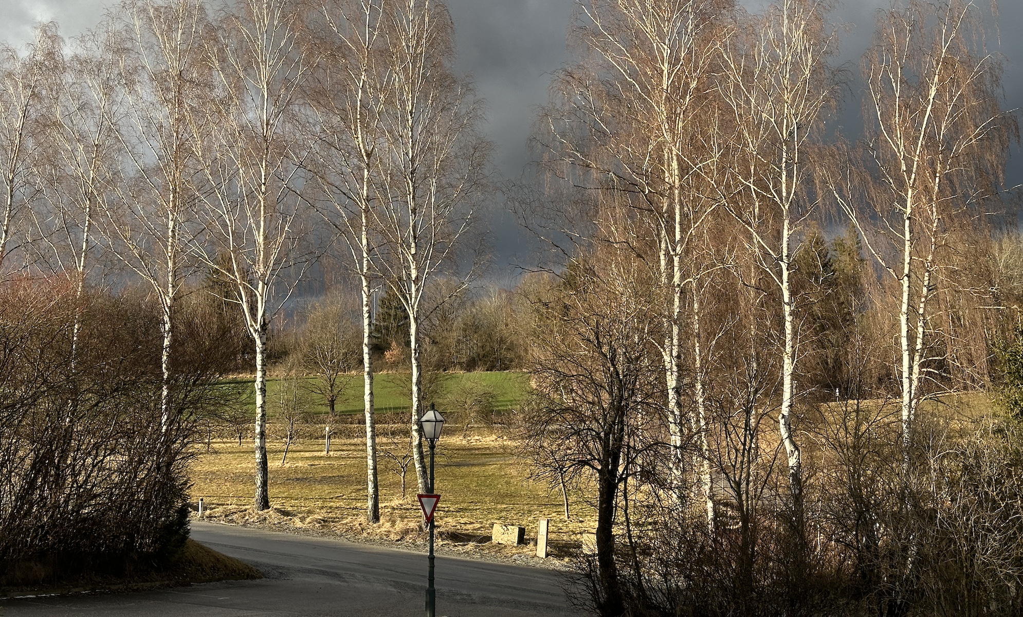 2024-01_Birken_h1 – Mittelschule Stift Zwettl